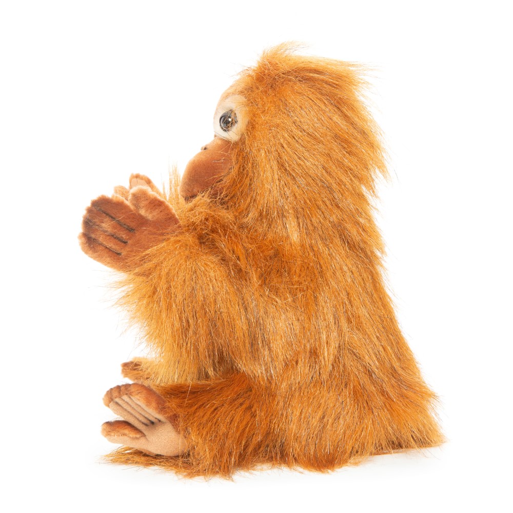 Orangutan Puppet 25cmH - Hamac Trading