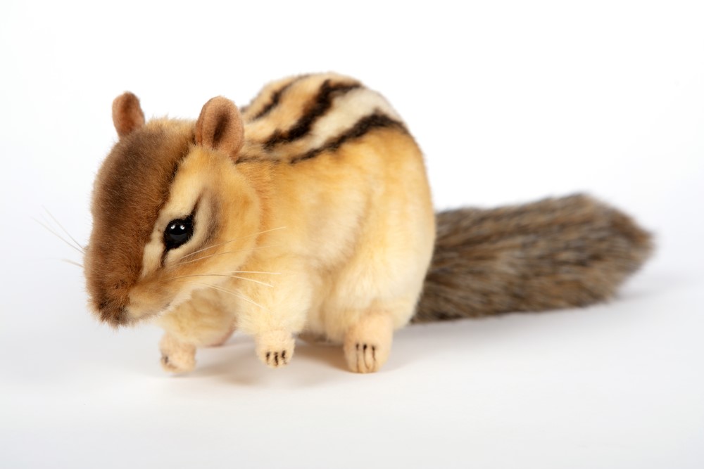 Chipmunk 25cmL - Hamac Trading