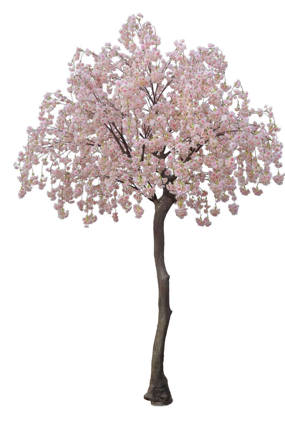 Full Cherry Blossom Tree - Hamac Trading