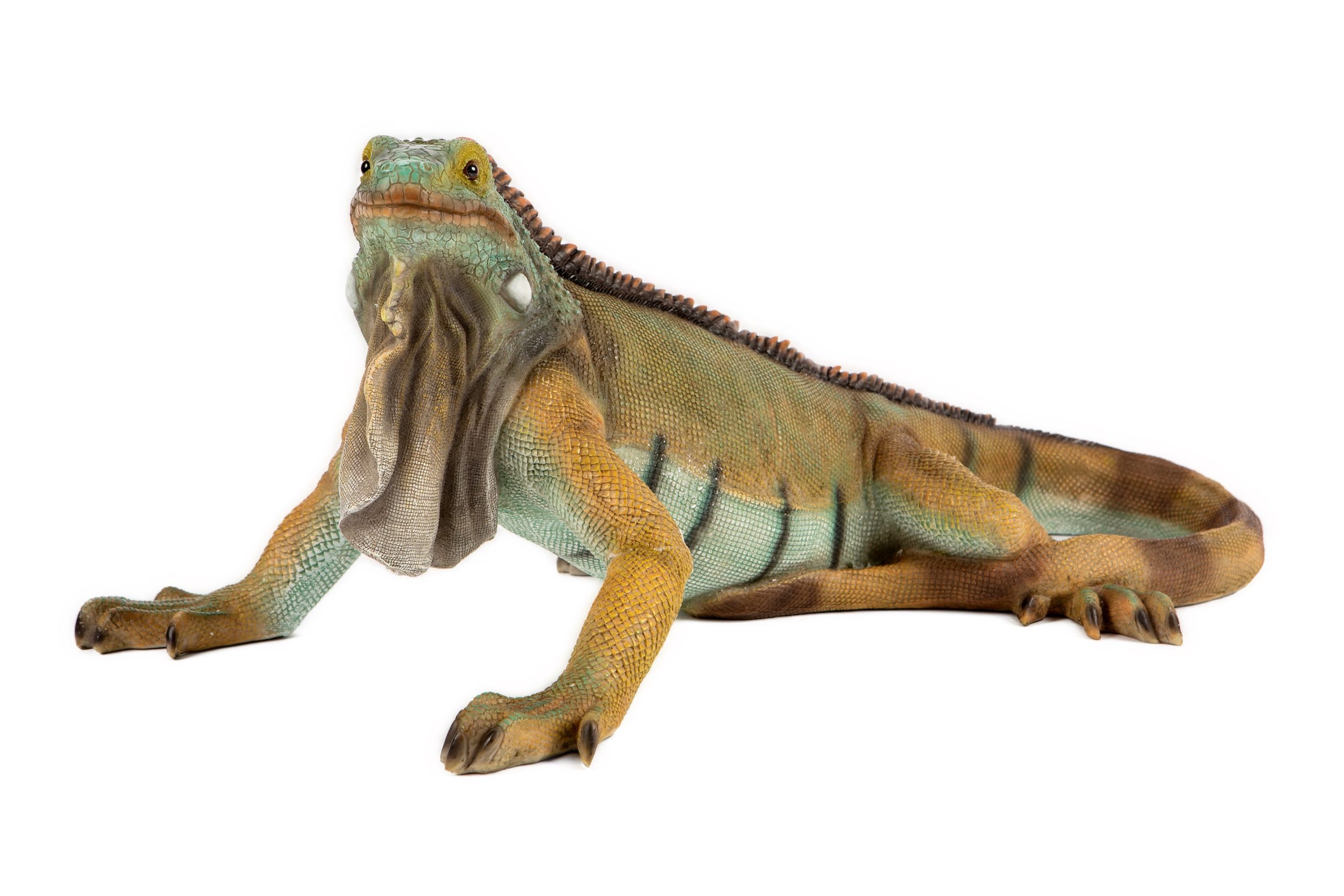 Lizard - Hamac Trading