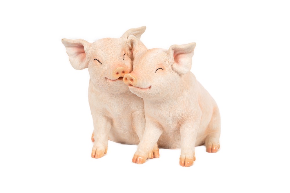 Pigs Cuddling – Pink Piglets Snuggling Together
