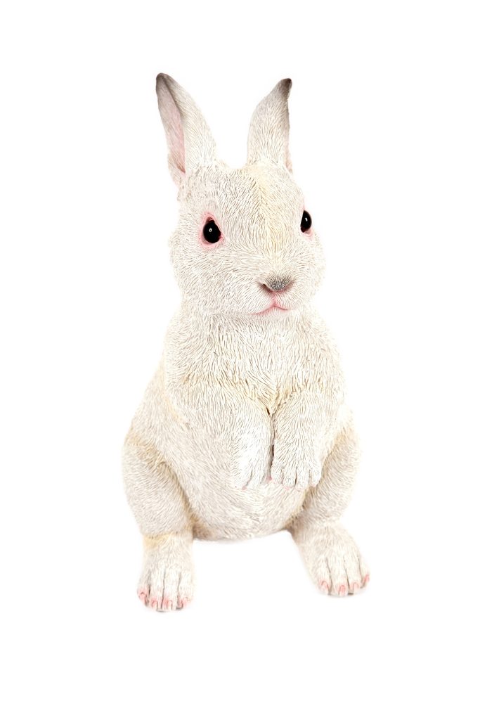 Standing White Rabbit – Rabbit with Raised Front Paws