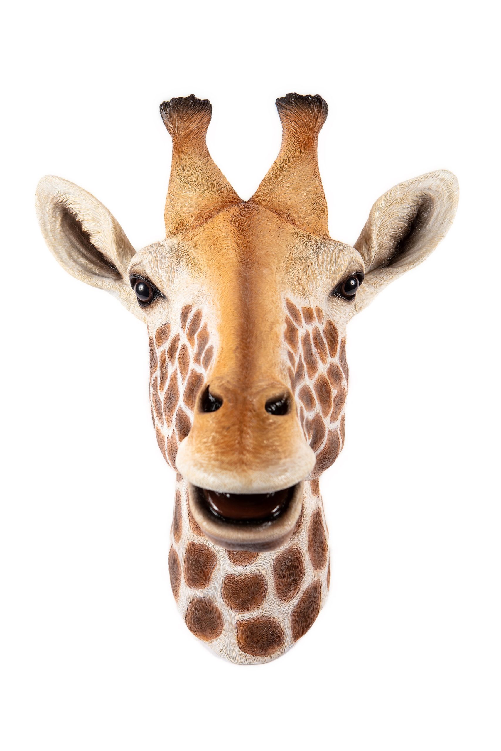 Giraffe Head Wall Décor - Hamac Trading