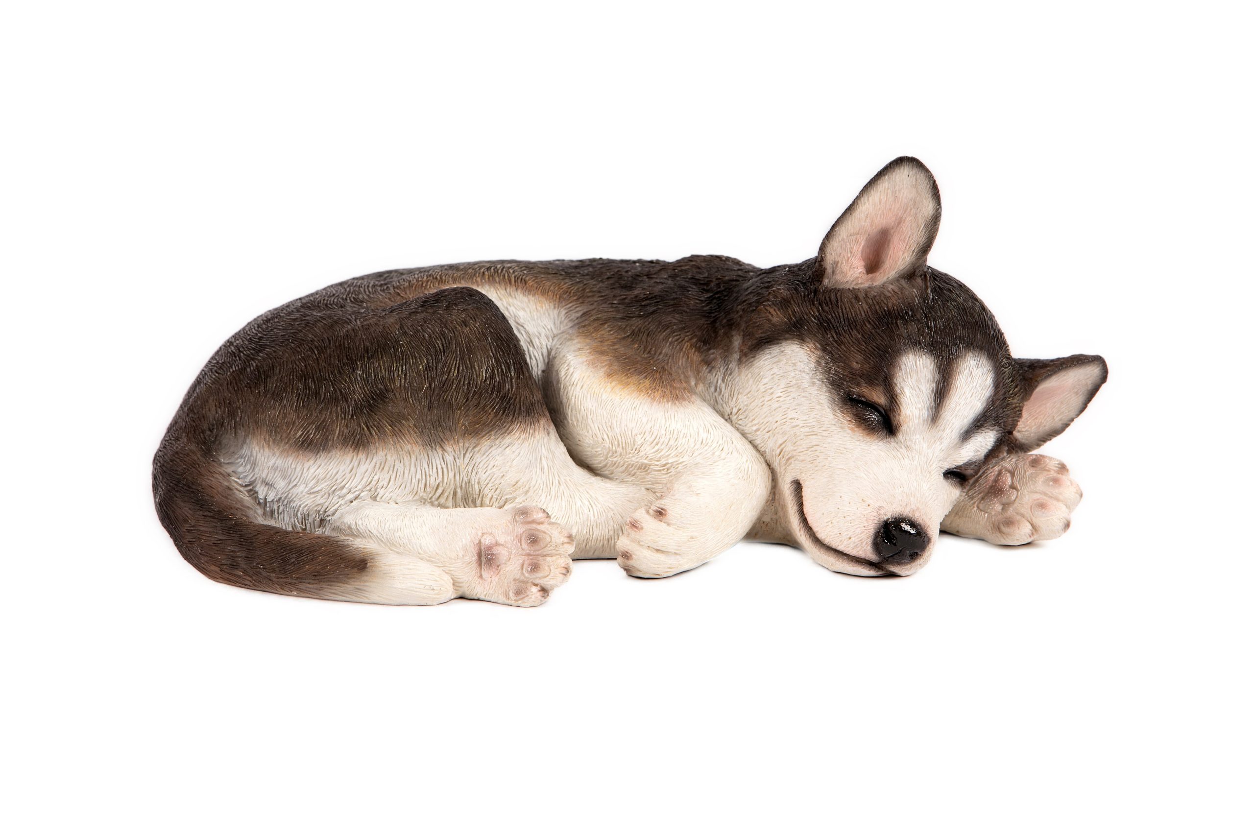 Sleeping Siberian Husky - Hamac Trading
