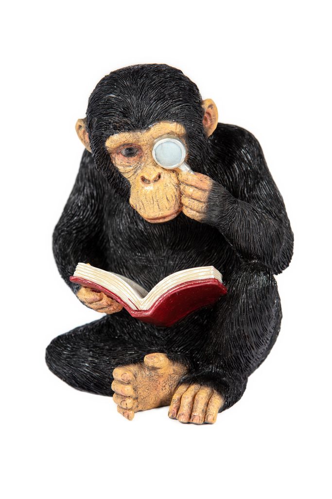 Reading Chimp – Chimp with Book and Magnifying Glass