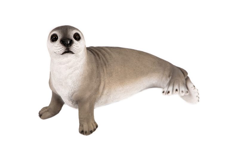 Seal – Grey Resin Garden Ornament on Flippers