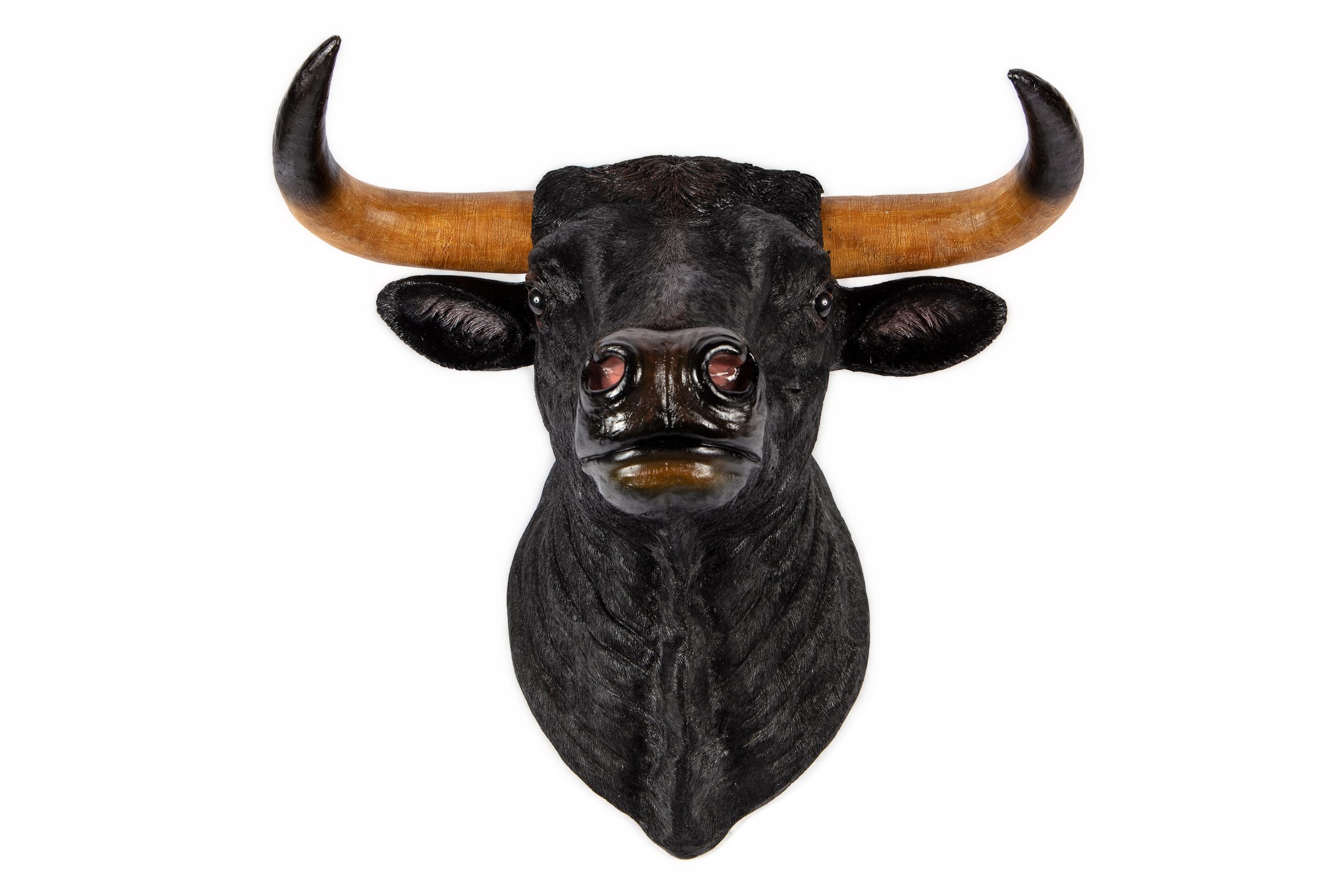 Bull Head Wall Décor - Hamac Trading