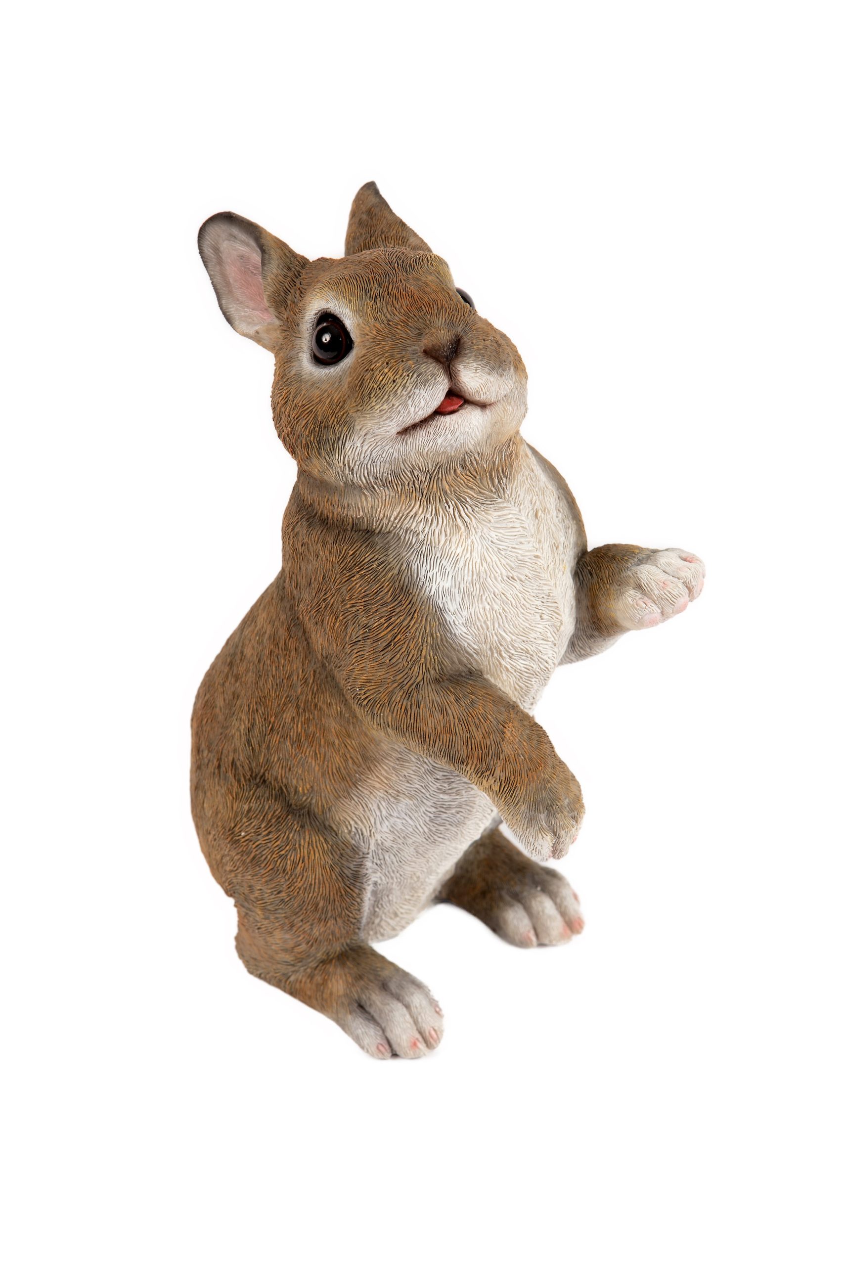 Standing Rabbit – Upright Brown Rabbit Looking Off-Camera