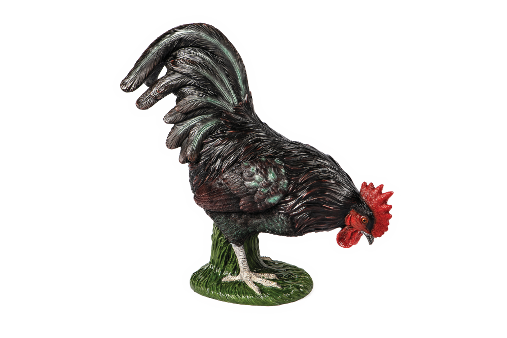 Black Cockerel - Hamac Trading