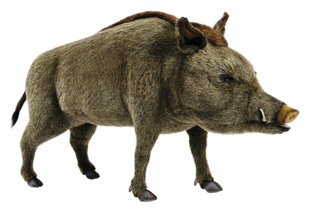 (A) Wild Boar Standing 95cmH - Hamac Trading