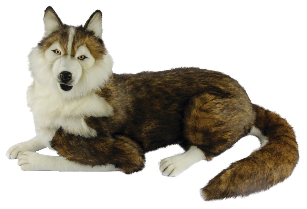 (A) Husky Laying 55cmH - Hamac Trading