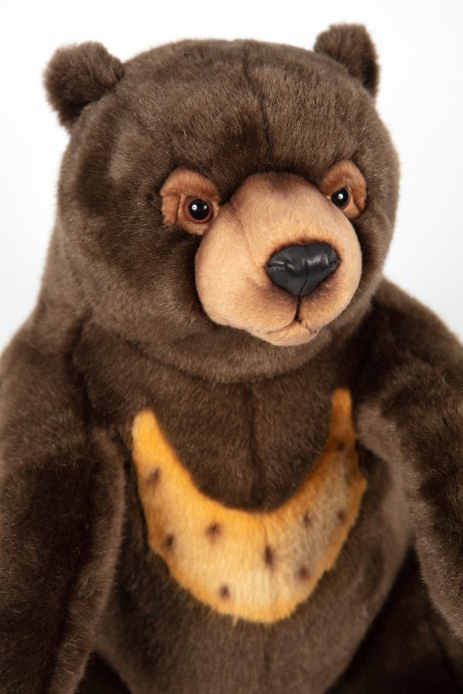 Sun Bear 40cmH - Hamac Trading