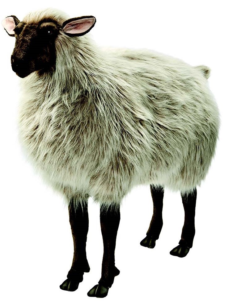 Lifesize Brown Sheep | 90cmH Static Display Prop