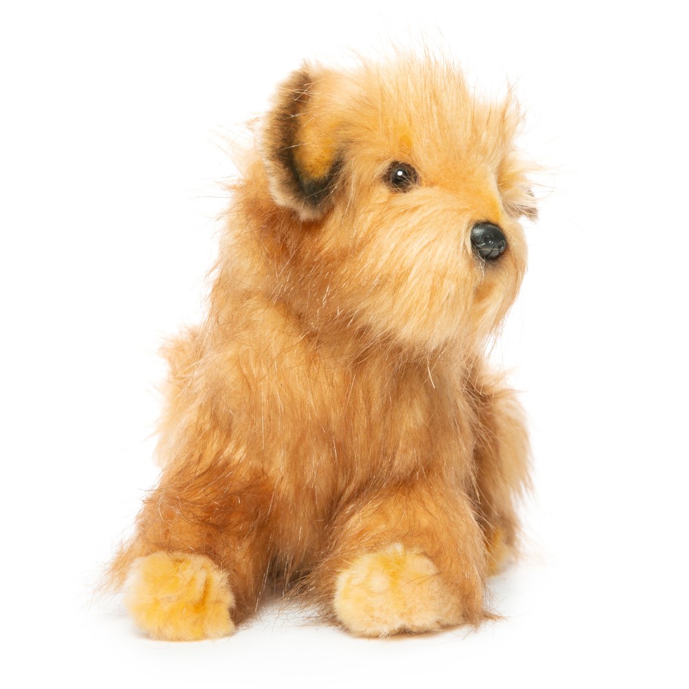 Norfolk Terrier Dog 23cmH - Hamac Trading