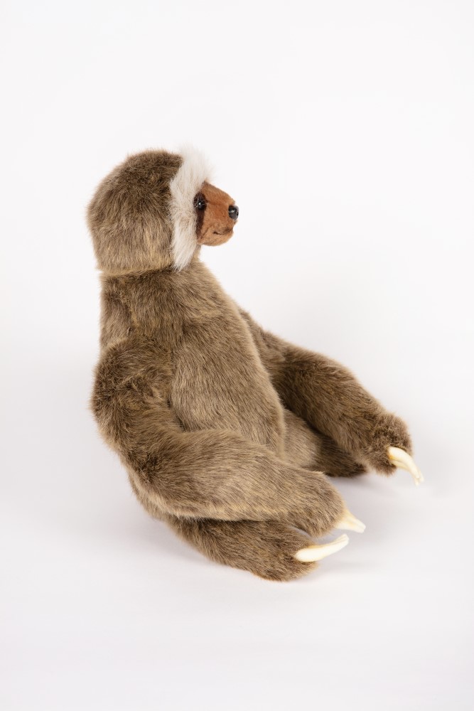 Sloth Three Toed 30 cmH - Hamac Trading