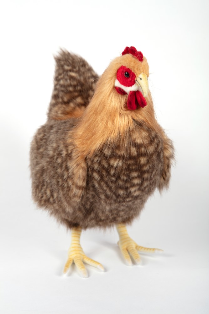 Hen (Beige) 35cmH - Hamac Trading