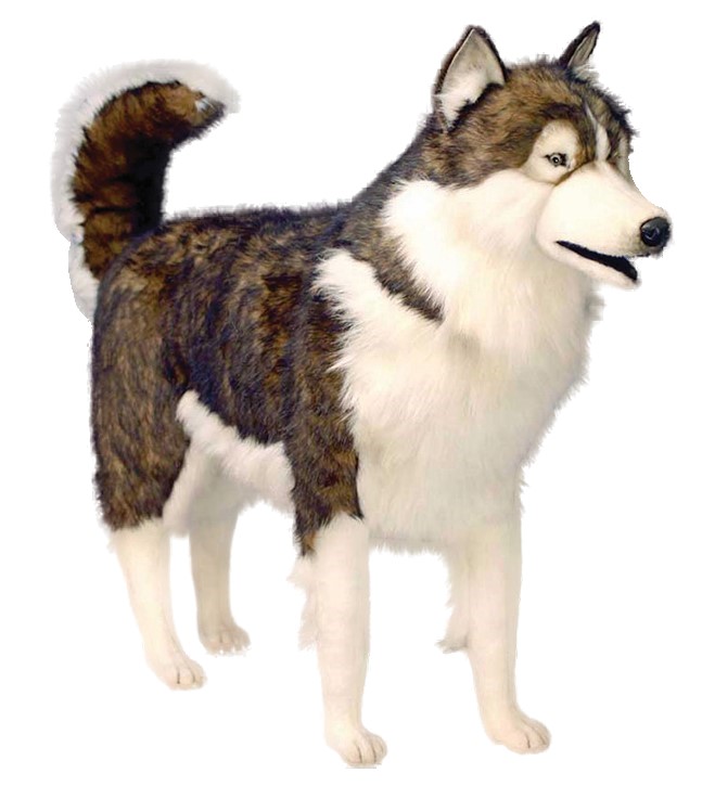 Husky Standing 85cmH - Hamac Trading