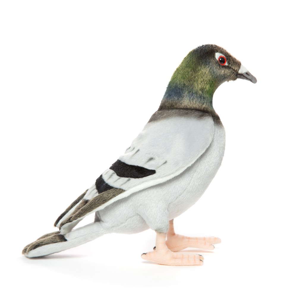 Pigeon 29cmL - Hamac Trading