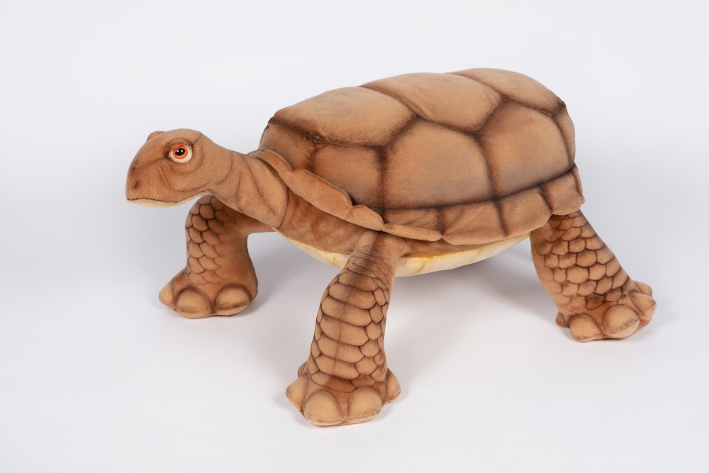 Turtle Seat 70cmL - Hamac Trading