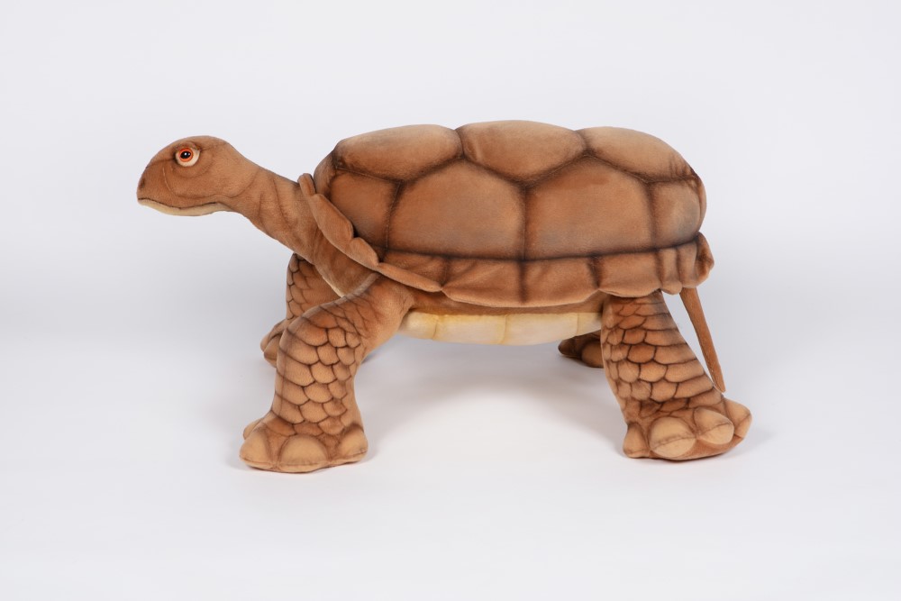 Turtle Seat 70cmL - Hamac Trading