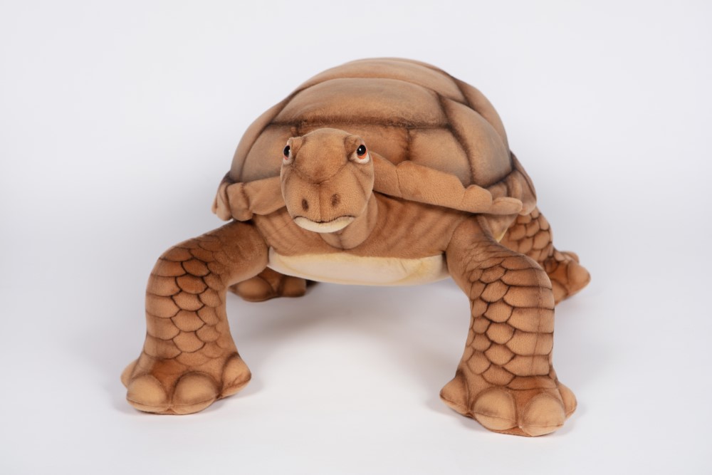 Turtle Seat 70cmL - Hamac Trading