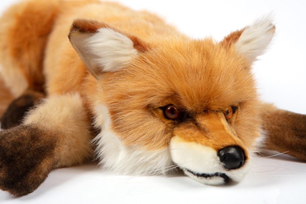 Fox Laying 70cmL - Hamac Trading