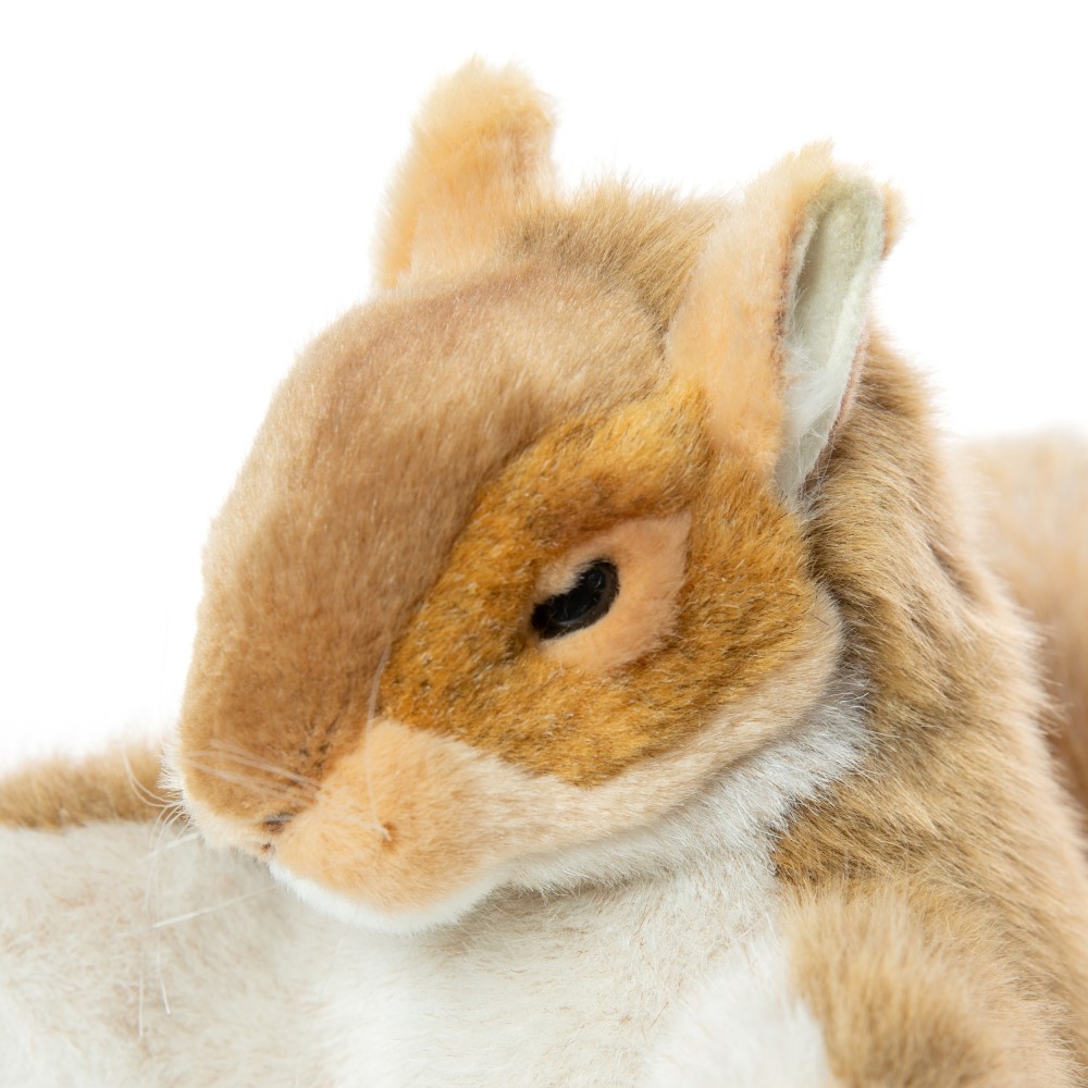 Red Squirrel Puppet 28cm - Hamac Trading