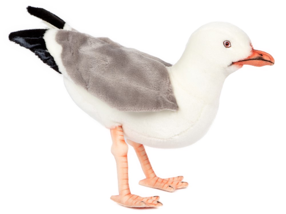 Seagull Herring 36cmL - Hamac Trading