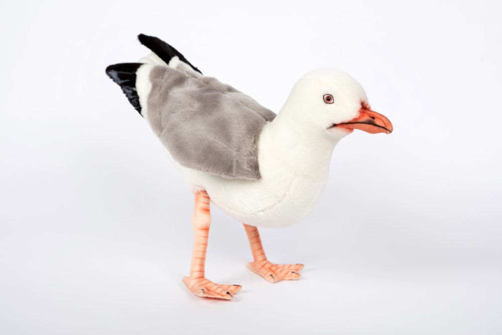 Seagull Herring 36cmL - Hamac Trading