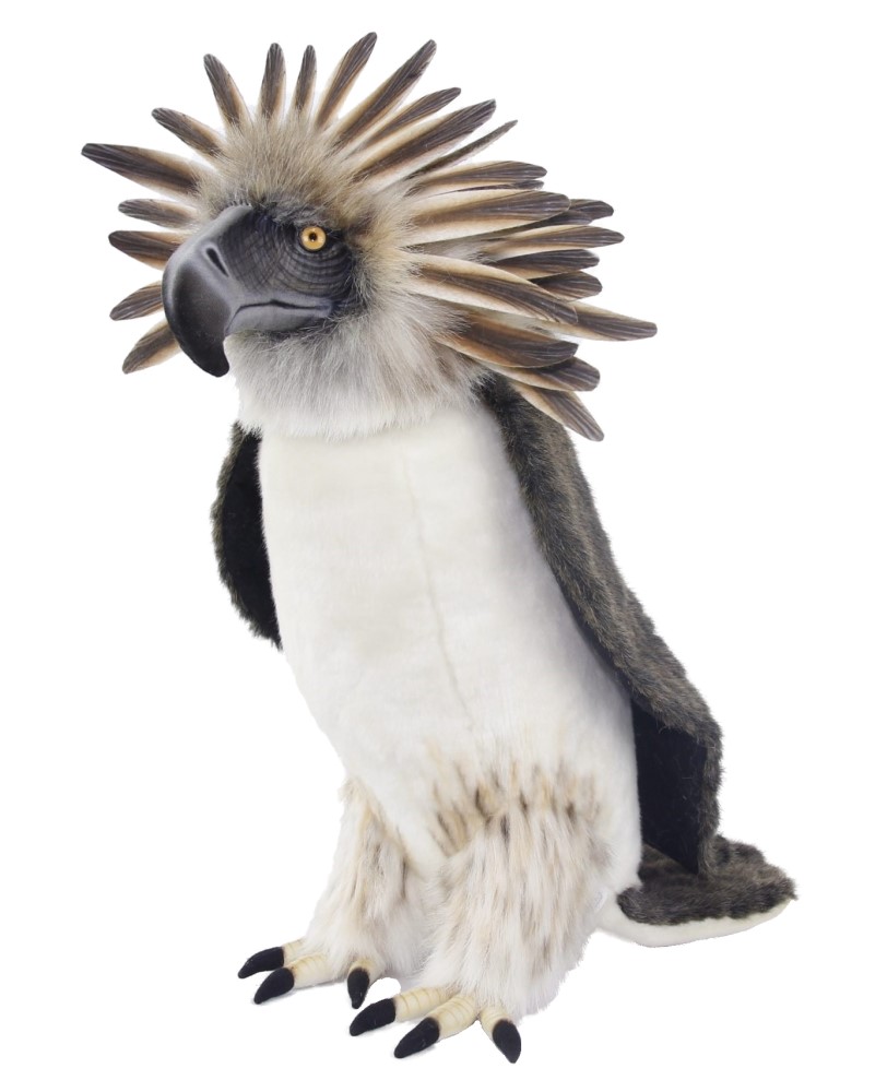 Philippine Eagle 50cmH - Hamac Trading