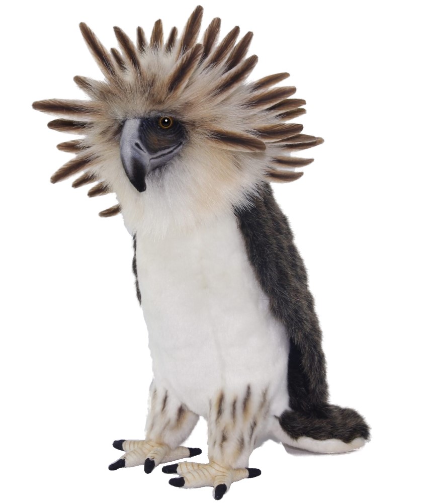 Philippine Eagle 30cmH - Hamac Trading