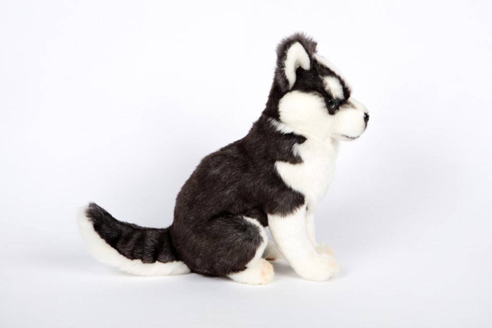 Husky Puppy Sitting 33cmH - Hamac Trading