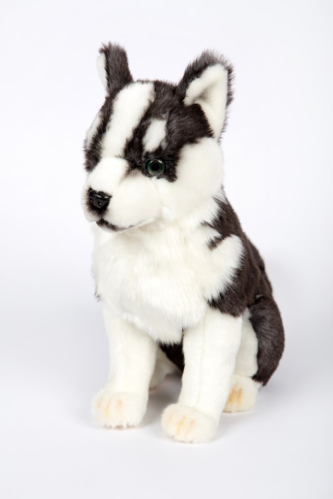 Husky Puppy Sitting 33cmH - Hamac Trading