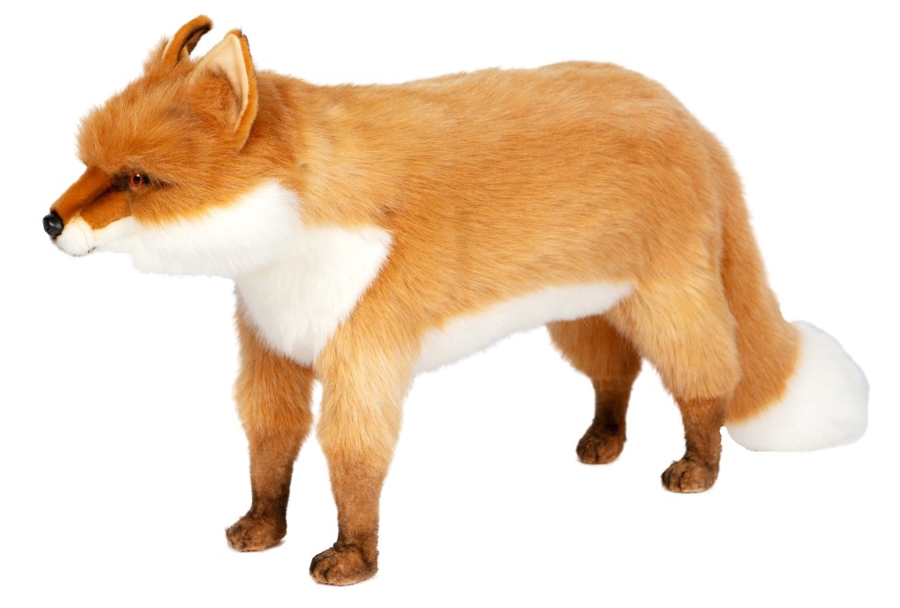 Fox Seat (90cmL) | Stylish and Functional Display Piece