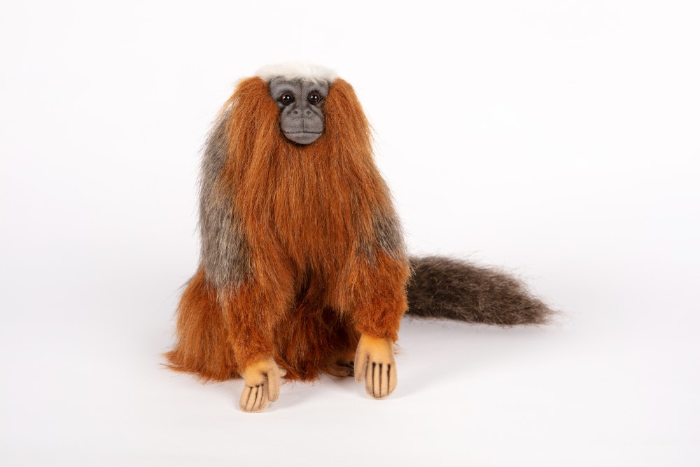 Titi Monkey 30cmL - Hamac Trading