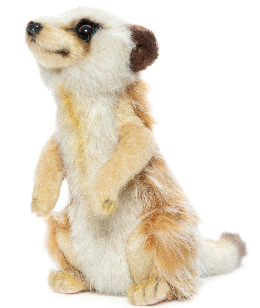 Meerkat 22cmH - Hamac Trading