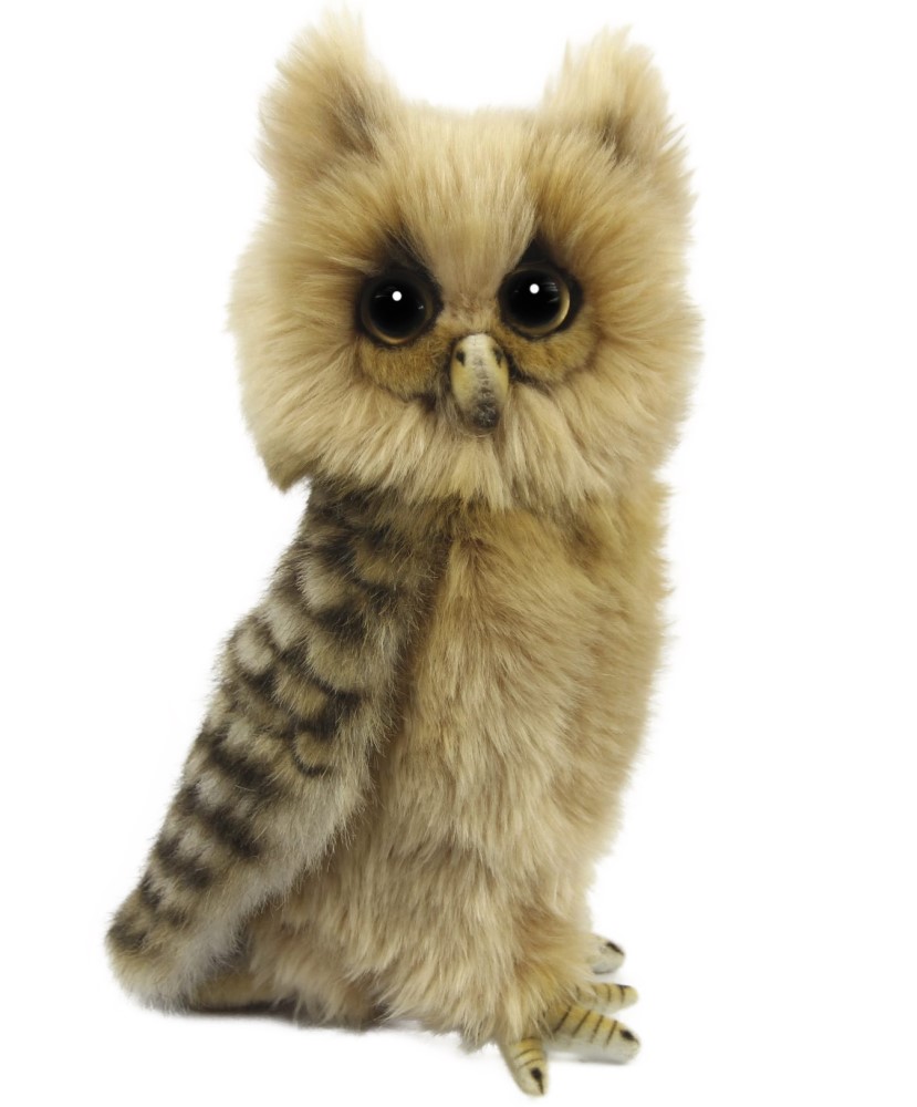Philippine Eagle Owl 22cmH - Hamac Trading