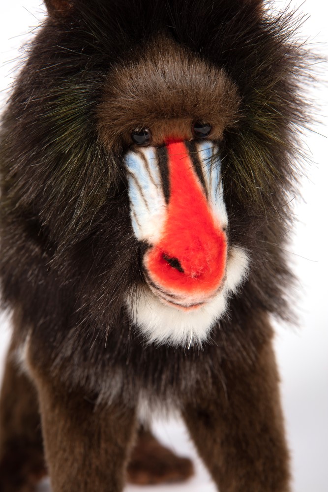 Mandrill 28cmH - Hamac Trading