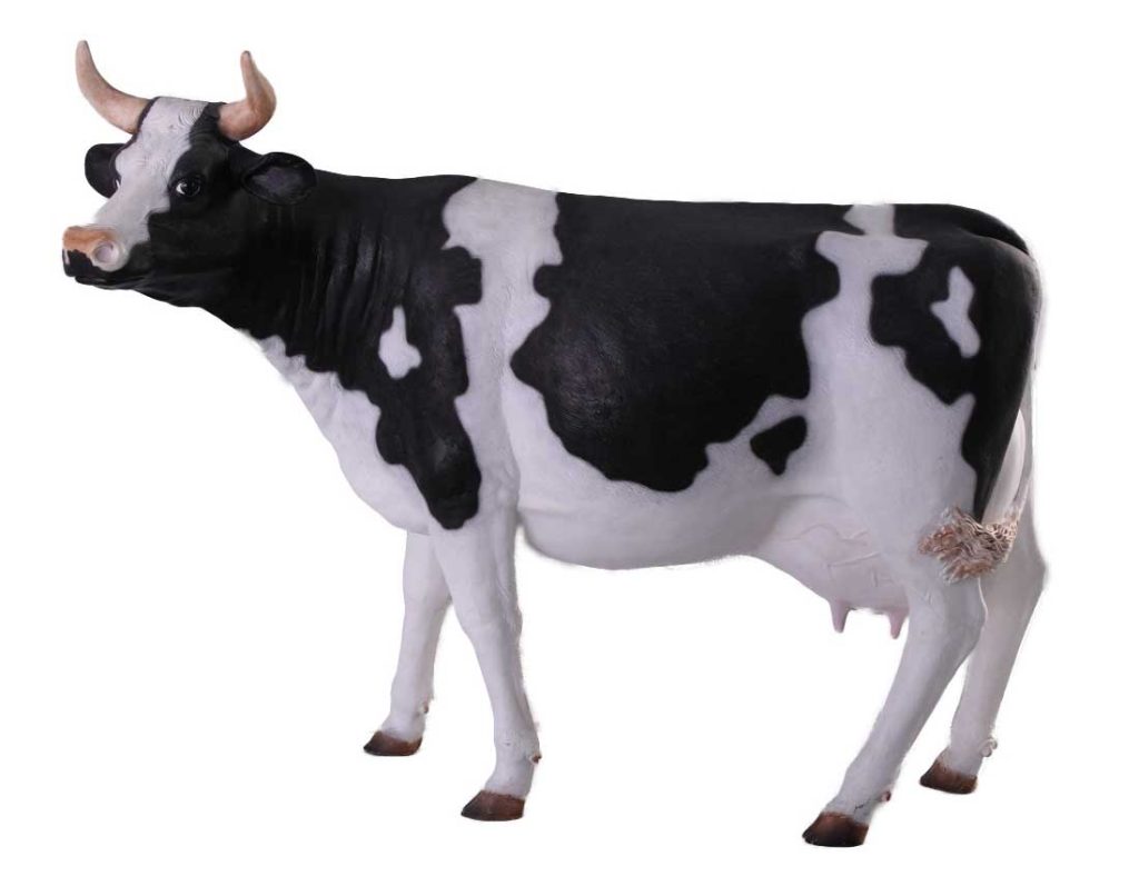 Life Size Fibreglass Resin Cow Model - Hamac Trading | Formerly Hamac ...