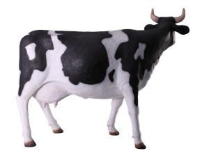Life Size Fibreglass Resin Cow Model - Hamac Trading | Formerly Hamac ...