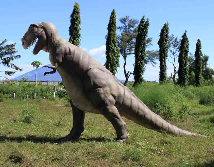 Giant T-Rex - Hamac Trading