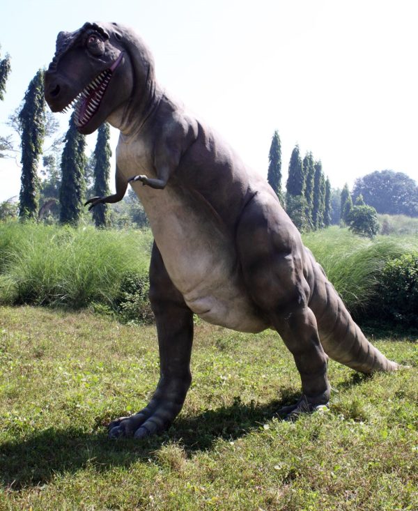 Giant T-Rex - Hamac Trading