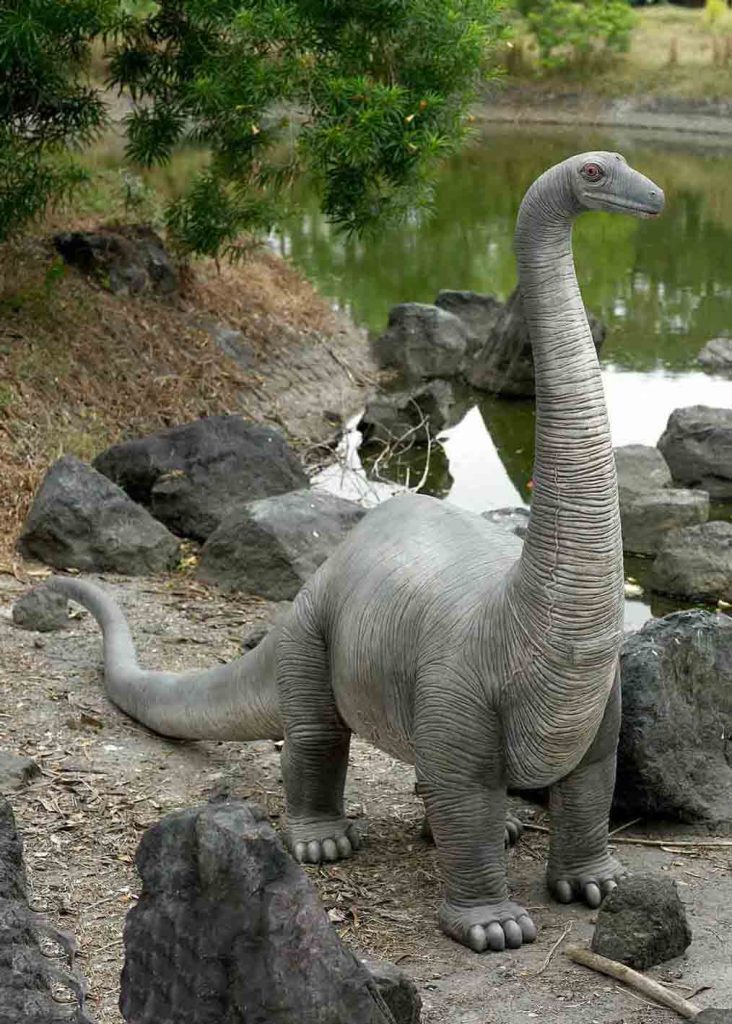 Life Size Fibreglass Resin Brontosaurus Model - Hamac Trading ...