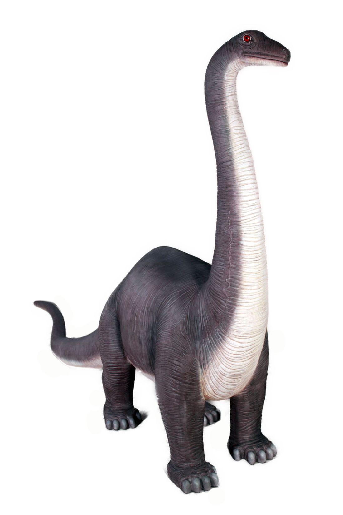 Life Size Fibreglass Resin Brontosaurus Model - Hamac Trading ...