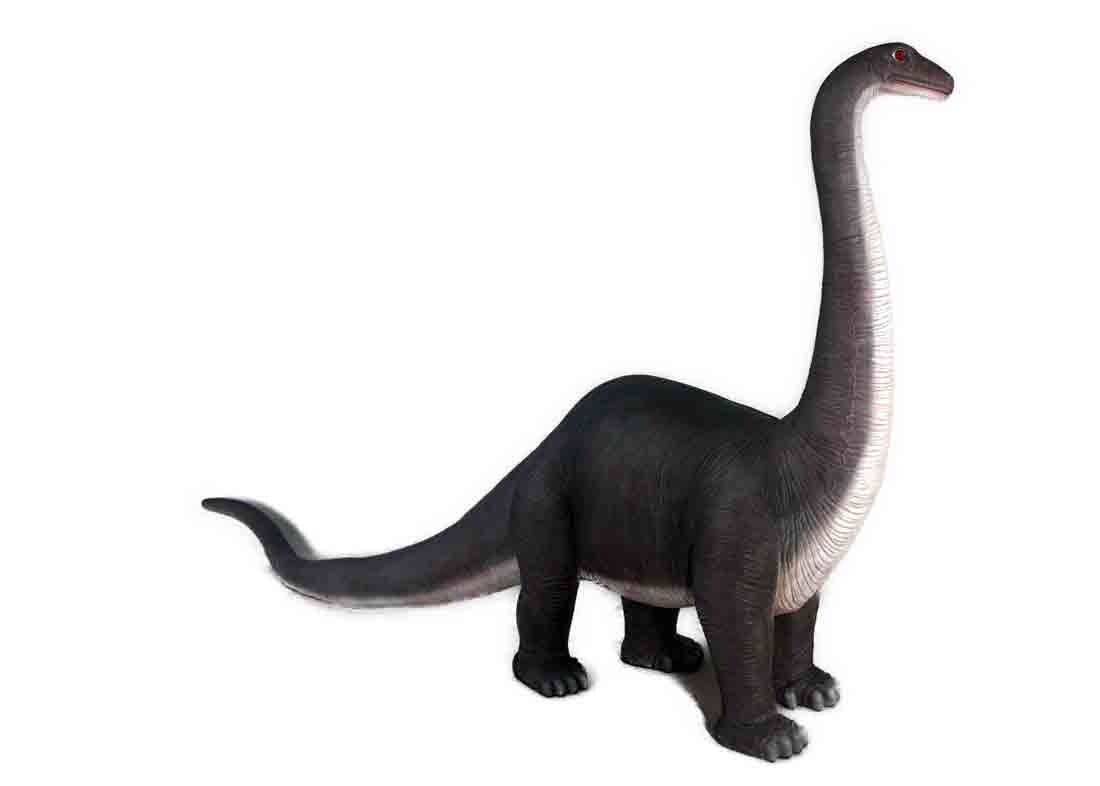Life Size Fibreglass Resin Brontosaurus Model - Hamac Trading ...