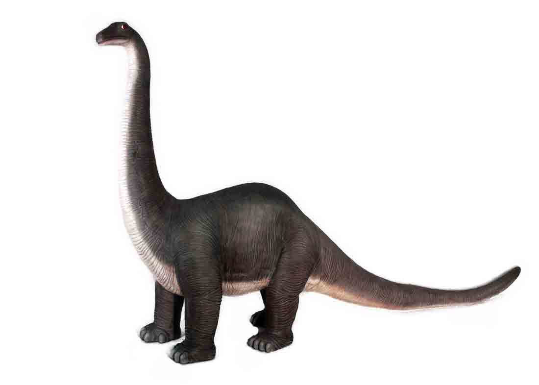 Life Size Fibreglass Resin Brontosaurus Model - Hamac Trading ...