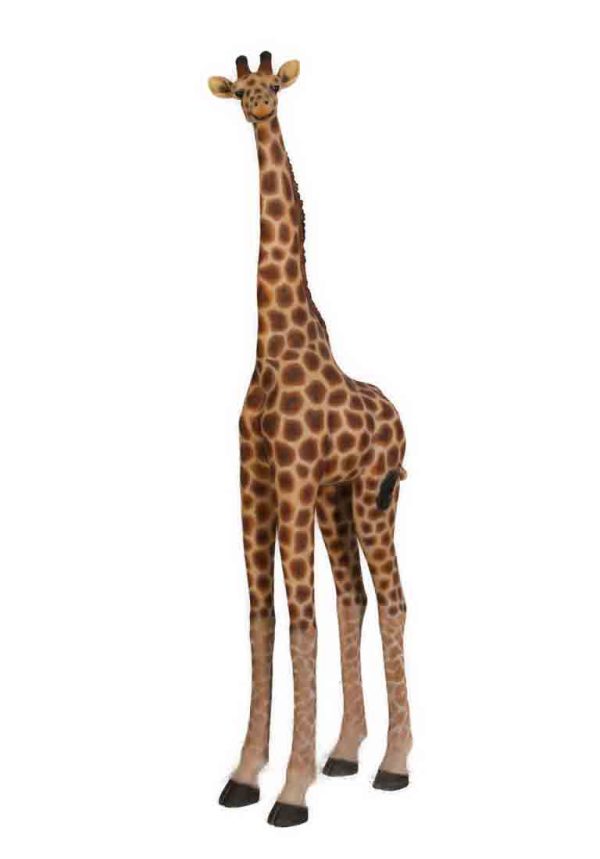 Life Size Fibreglass Resin Giraffe Model - Hamac Trading | Formerly ...