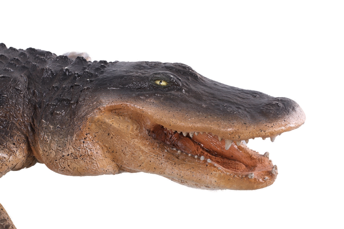 Life Size Fibreglass Resin Large American Alligator Model - Hamac ...