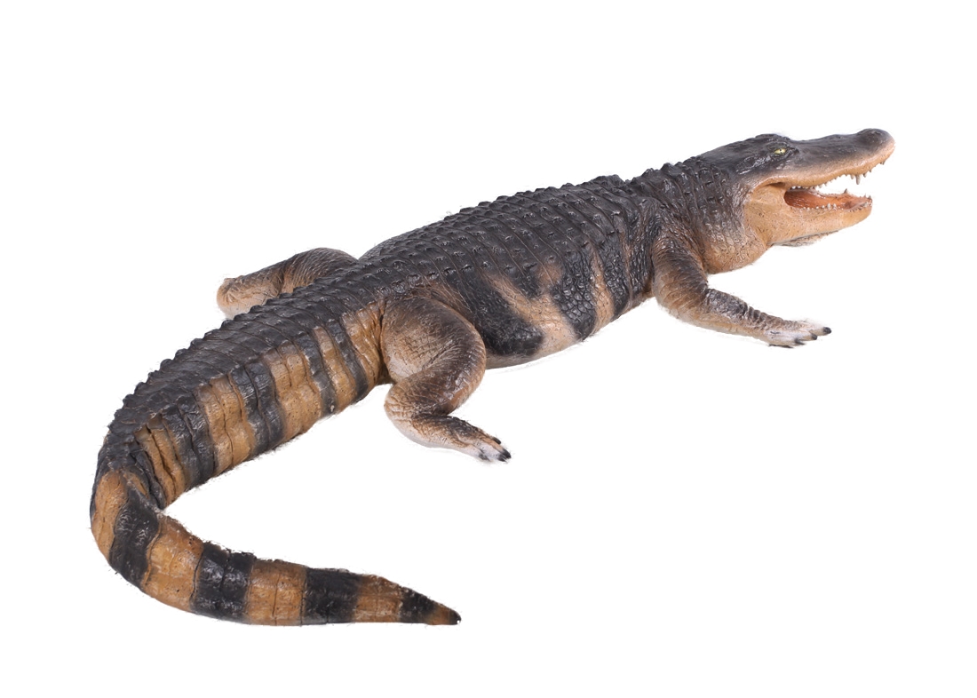 Life Size Fibreglass Resin Large American Alligator Model - Hamac ...