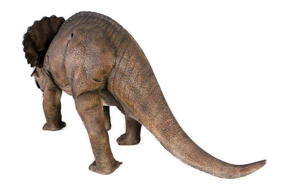Giant Triceratops - Hamac Trading
